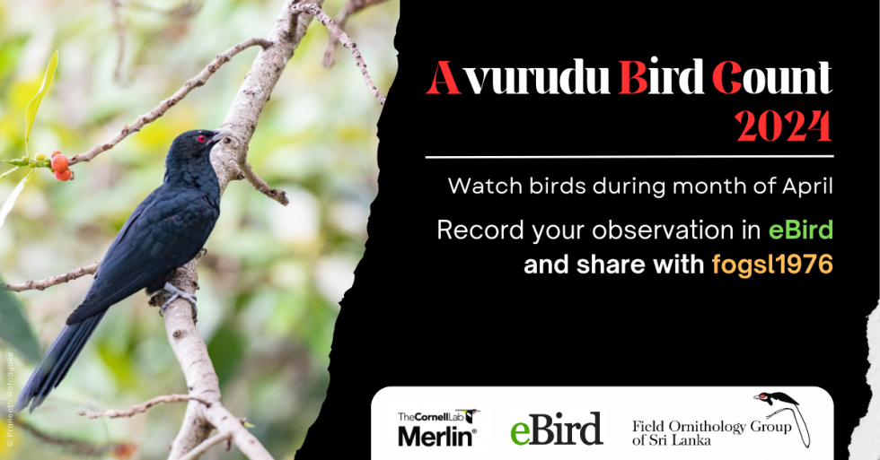 Avurudu Bird Count 2024 | FOGSL